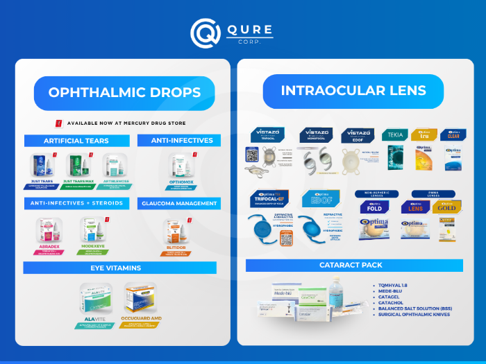 Program Overview - APVRS 2025 Manila